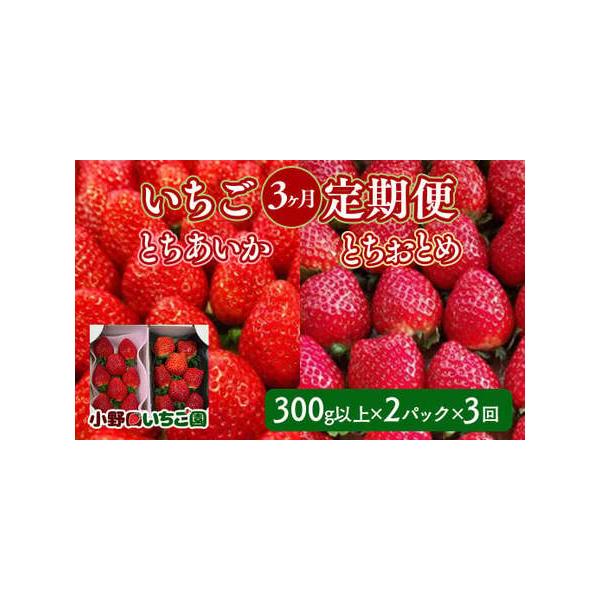 ■ 容量　300g以上×2パック　計3回■ 配送について　2026年1月上旬頃より順次発送　タイプ：【冷蔵】【定期】