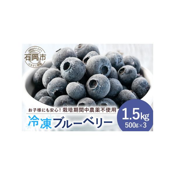 ■ 容量　ブルーベリー500g×3パック■ 配送について　※天候により出荷時期が前後する場合がございますので予めご了承ください。　　【注意事項】　・特産品が届きましたら、直ちに開封し中身をご確認ください。　・万が一不備があった場合、到着日を...