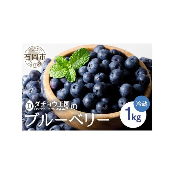 ■ 容量　ブルーベリー 500g×2P■ 配送について　※天候により出荷時期が前後する場合がございますので予めご了承ください。　　【注意事項】　※申し訳ございませんが、伊豆諸島（大島・八丈島を除く）及び小笠原村（小笠原諸島）への発送はお受け...