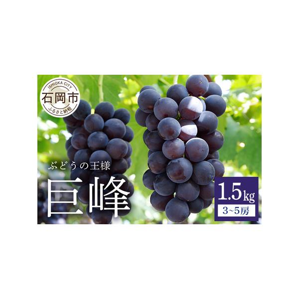 ■ 容量　巨峰1.5kg（3〜5房）■ 配送について　※天候により出荷時期が前後する場合がございますので予めご了承ください。　　【注意事項】　※申し訳ございませんが、沖縄県、伊豆諸島（大島・八丈島を除く）及び小笠原村（小笠原諸島）への発送は...