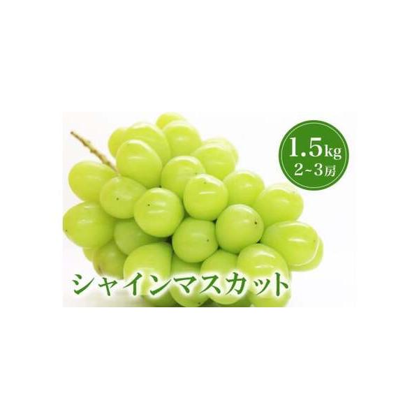 ■ 容量　シャインマスカット 1.5kg（2〜3房）■ 配送について　2026年9月から順次発送　※天候により出荷時期が前後する場合がございますので予めご了承ください。　　【注意事項】　※申し訳ございませんが、沖縄県、伊豆諸島（大島・八丈島...