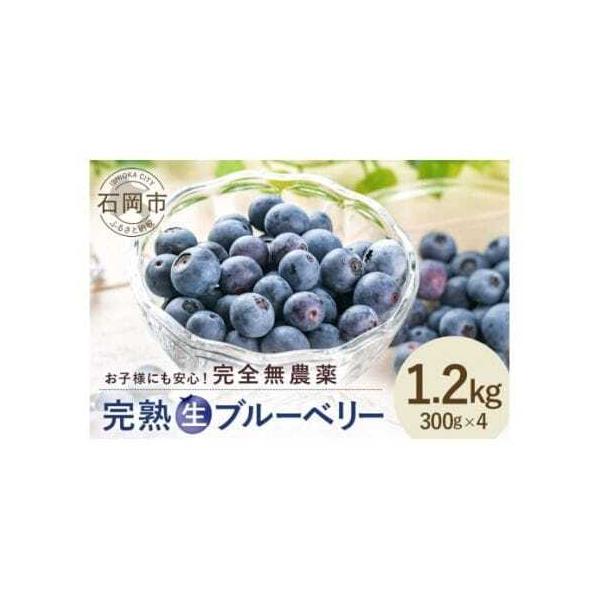■ 容量　ブルーベリー（生）300g×4パック■ 配送について　※天候により出荷時期が前後する場合がございますので予めご了承ください。　　【注意事項】　※申し訳ございませんが、伊豆諸島（大島・八丈島を除く）及び小笠原村（小笠原諸島）への発送...