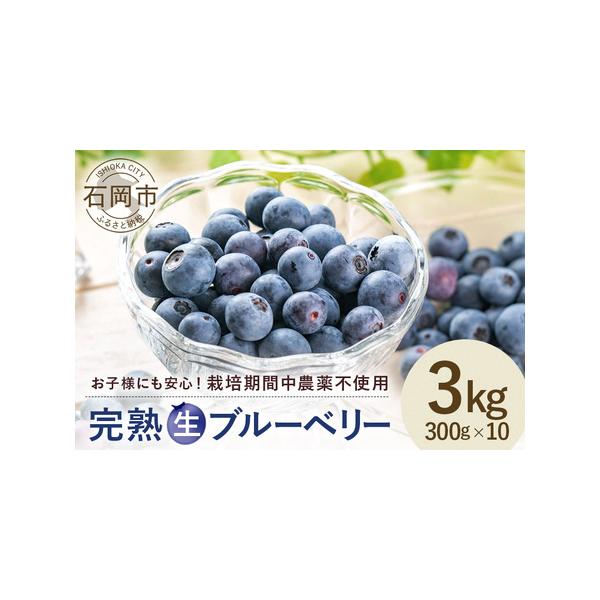 ■ 容量　ブルーベリー(生) 300g×10パック■ 配送について　※天候により出荷時期が前後する場合がございますので予めご了承ください。　【注意事項】　※申し訳ございませんが、伊豆諸島（大島・八丈島を除く）及び小笠原村（小笠原諸島）への発...