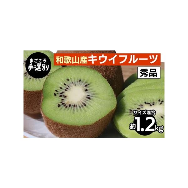 ■ 容量　【まごころ手選別】和歌山産　キウイフルーツ[約1.2kg(サイズ混合)]　秀品■ 配送について　2026年1月下旬〜3月中旬頃　タイプ：【常温】