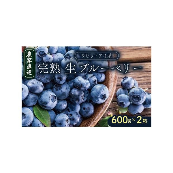 ■ 容量　1200g（600g×2箱）　■ 配送について　2026年7月〜8月上旬に順次発送致します。　タイプ：【冷蔵】