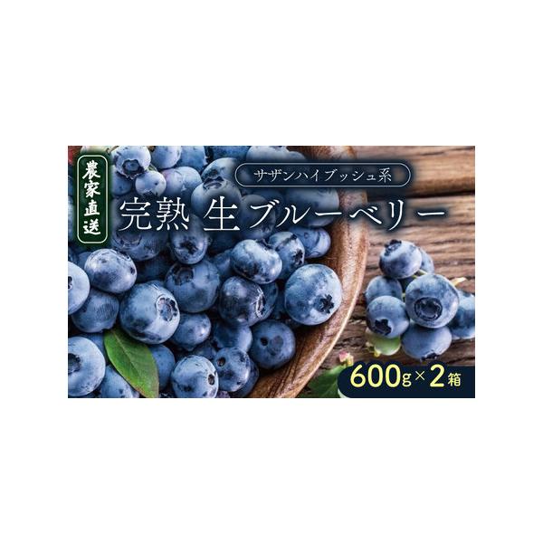 ■ 容量　1200g（100ｇ×12パック）　化粧箱入り■ 配送について　2026年4月〜6月上旬に順次発送致します。　※成熟状況により出荷は早まる可能性がございます。　　【受付期間】　〜2026年5月31日　タイプ：【冷蔵】