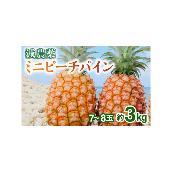■ 容量　西表島産 栽培期間中減農薬栽培 ミニピーチパイン 3kg (7〜8玉)■ 配送について　2026年4月上旬〜4月下旬　タイプ：【常温】