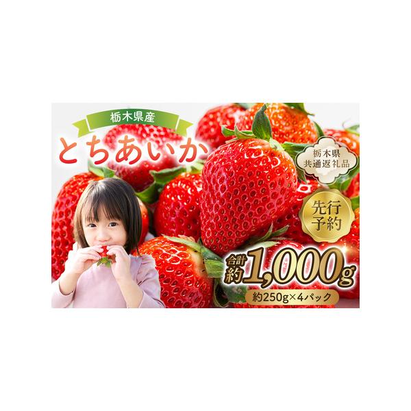 ■ 容量　約250g×4パック■ 配送について　2026年2月上旬〜5月上旬　タイプ：【冷蔵】