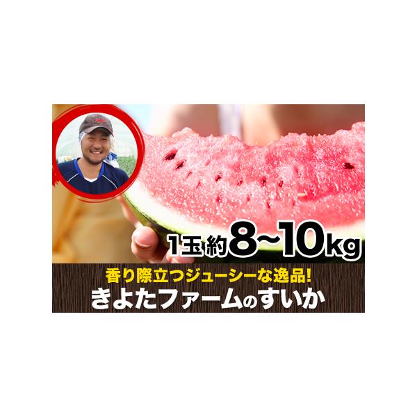 ■ 容量　1玉(約8-10kg)■ 配送について　2026年5月下旬-6月下旬頃出荷　タイプ：【常温】