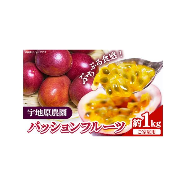 ■ 容量　パッションフルーツ約1kg（9個〜）　※玉数の指定はできません　※数に限りがございます。数量に達し次第終売となります。■ 配送について　【申込期日】2026年7月中旬頃までを予定　　【発送期日】2026年6月下旬‐7月下旬　タイプ...