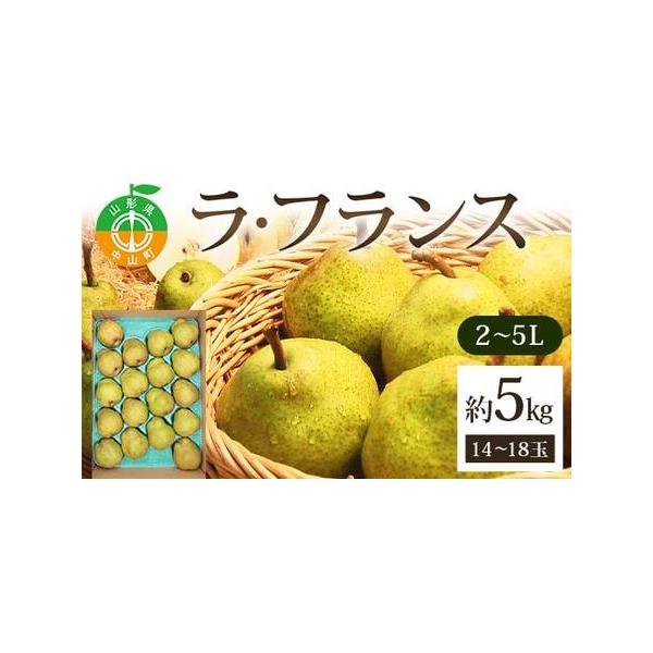 ■ 容量　山形県産ラフランス 約5kg 2〜5L 14〜18玉■ 配送について　2026年11月中旬頃より順次発送予定　タイプ：【常温】