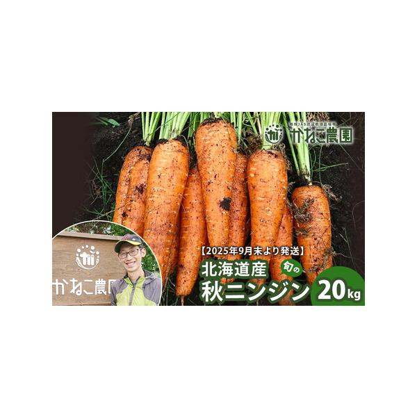 ■ 容量　ニンジン20kg（1本100〜500ｇ）　タイプ：【常温】