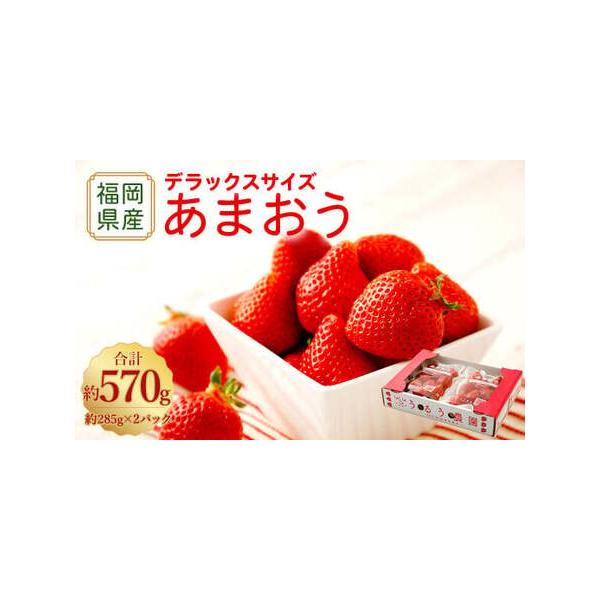 ■ 容量　約570g（約285g×2パック）■ 配送について　2025年12月上旬〜2026年1月下旬　タイプ：【冷蔵】