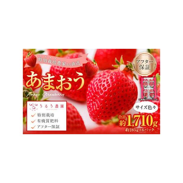 ■ 容量　約1710g（約285g×6パック）　※サイズは「M、L、2L、3L、4L、G（グランデ）」の中からおまかせとなります。■ 配送について　2026年1月上旬〜2026年1月下旬　タイプ：【冷蔵】