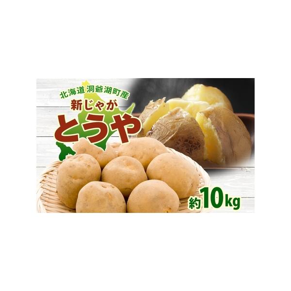 ■ 容量　新じゃがいも とうや Mサイズ以上混載 約10kg　　▼返礼品の地場産品基準　[地場産品類型1]区域内の農場におけるじゃがいもの栽培　　【洞爺湖町とは】　北海道の中央南西部に位置し、火山や美しい洞爺湖、　湖畔に広がる温泉街など、観...