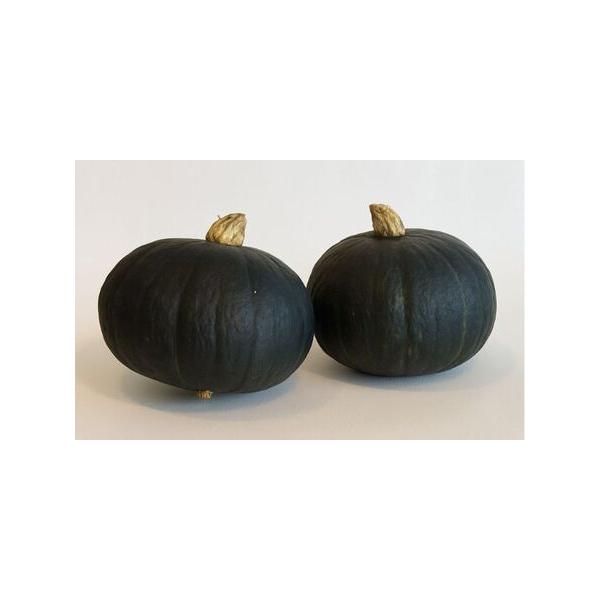 ■ 容量　かぼちゃ(ダークホース)：2個■ 配送について　2026年9月中旬?2026年10月下旬まで　タイプ：【常温】