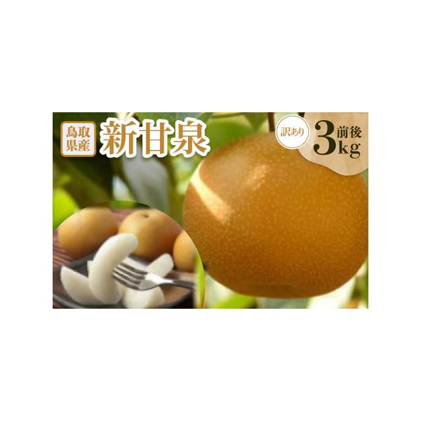 ■ 容量　※上記に記載■ 配送について　2026-08-22〜2026-09-20　タイプ：【常温】