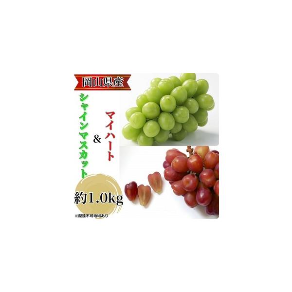 ■ 容量　進物用（優品）シャインマスカット、マイハート 各約500g 合計約1.0kg　岡山県内産（5条8号ハ）　※お届け日、時間帯の指定は申し訳ございませんがお受けできません。　※果物は大変傷みやすいので受取後すぐにお品の状態をご確認くだ...