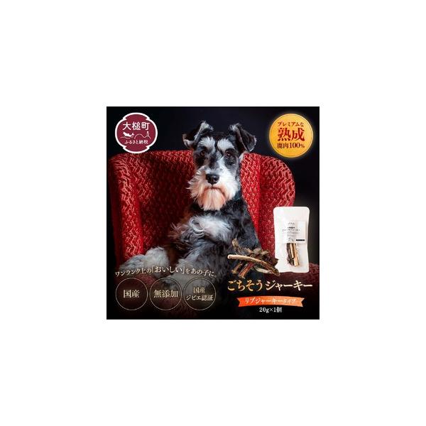 ■ 容量　20g入り×1袋　　【消費期限】　製造日より6ヶ月■ 配送について　寄附決済完了後、順次発送いたしますが、人気の品のため最長4ヶ月かかりますことご理解お願いいたします。　※沖縄県・その他離島への発送不可　　タイプ：【常温】