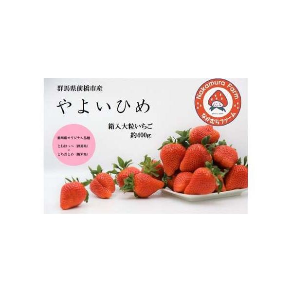 ■ 容量　＜容量＞　約400g×1箱　※粒数の指定はできません。　　＜賞味期限＞　発送日より3日以内にお召し上がりください　※賞味期限が短い為、沖縄県・離島への配送は出来ません。　　＜申込期日＞　2026年5月中旬　※いちごの実り具合によっ...