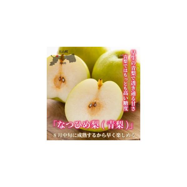 ■ 容量　青秀以上（赤秀または青秀）５ｋｇを１箱※等級・玉サイズ・玉数は指定できません■ 配送について　8月上旬を予定（収穫状況によって若干前後する場合もあります。）　タイプ：【常温】