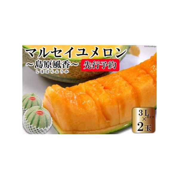 ■ 容量　3Lサイズ×2玉　（3Lサイズ：1.3〜1.6kg程度/玉）　　■消費期限　収穫日より10日程度（冷暗所で保存）■ 配送について　2026年5月下旬〜2026年6月中旬の期間で発送予定　※申込期日：2026年5月31日（決済確認）...