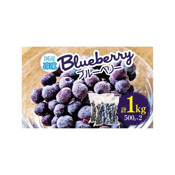 ■ 容量　真空パックした冷凍ブルーベリー500g×2袋　タイプ：【冷凍】