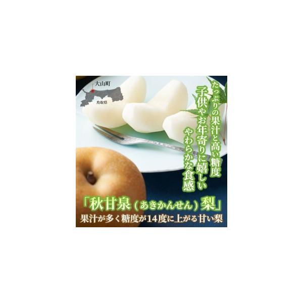 ■ 容量　青秀以上（赤秀または青秀）５ｋｇを１箱※等級・玉サイズ・玉数は指定できません■ 配送について　9月上旬〜中旬に随時発送予定（収穫状況によって若干前後する場合もあります。）　タイプ：【常温】