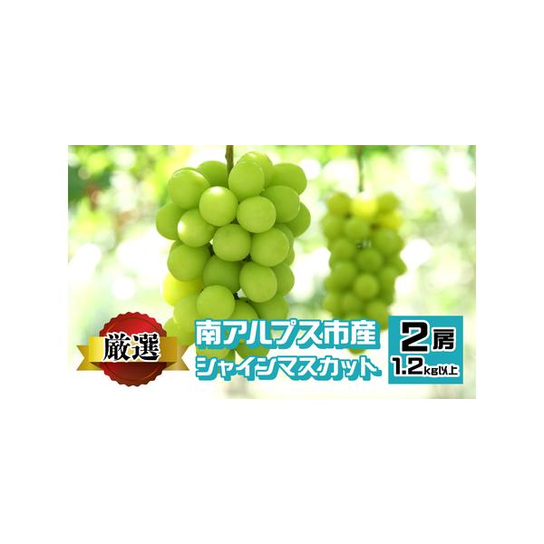 ■ 容量　南アルプス市産 シャインマスカット 1.2kg 2房■ 配送について　2026年9月上旬〜9月下旬　※離島、沖縄県にはお届けできない返礼品です。　※発送時期につきましては例年の発送時期になっております。その年の天候や発育状況により...