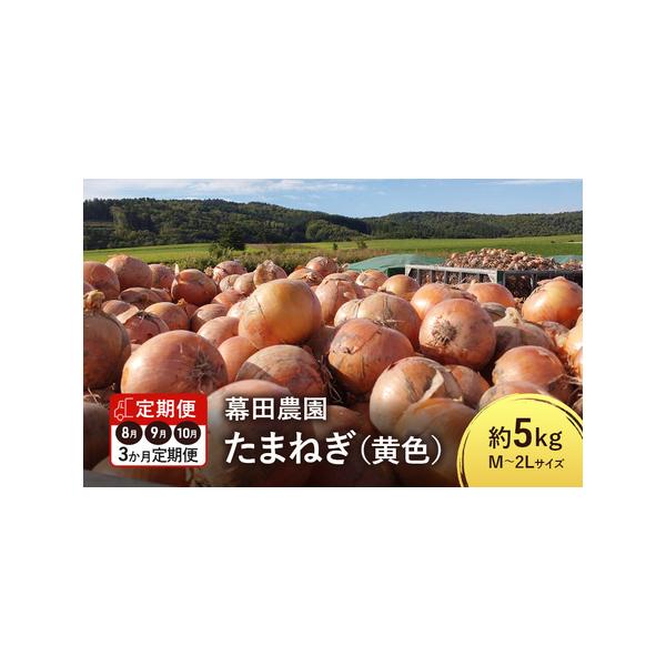 ■ 容量　【3か月定期便】　富良野産　黄玉ねぎ　約5kg（約15〜20玉） M〜2Lサイズ　8月中旬、9月中旬、10月中旬の計3回のお届けとなります。　■ 配送について　2026年8月中旬〜2026年10月末日まで　　タイプ：【常温】【定期】