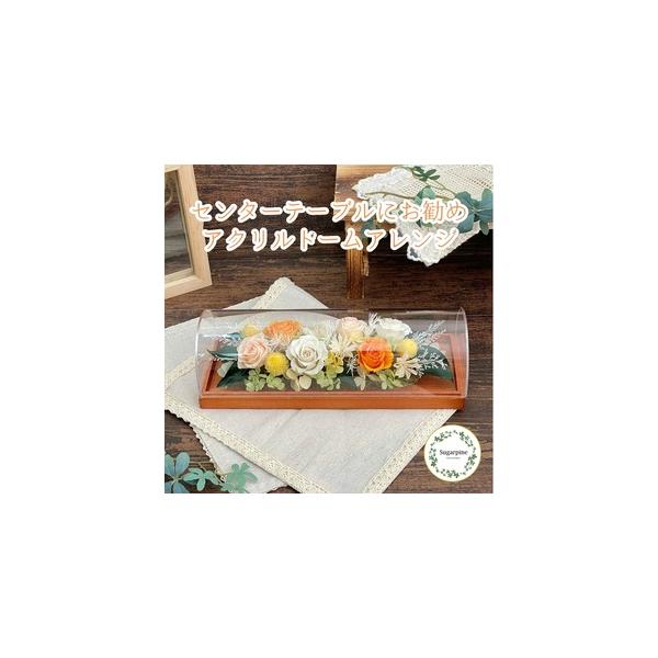 ■ 容量　ブリザーブドフラワー　シュクレ　オレンジ　１個　【サイズ】　商品サイズ：約W25×D9.5×H7cm　ケースサイズ：W26×D10.5×H8.5cm　　■ 配送について　ご入金確認後、2週間程で発送いたします。　※配送対象外【離島...