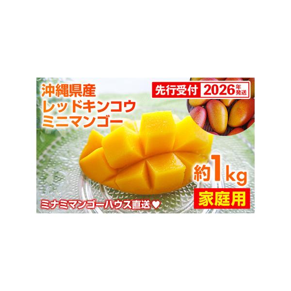 ■ 容量　【家庭用】レッドキンコウ ミニマンゴー約1kg　※色・キズ有り・不揃いの為、見た目は落ちますが、味や甘さは変わりありません。ご家庭用としてご賞味ください。　※玉数の指定はできません　※数に限りがございます。数量に達し次第終売となり...