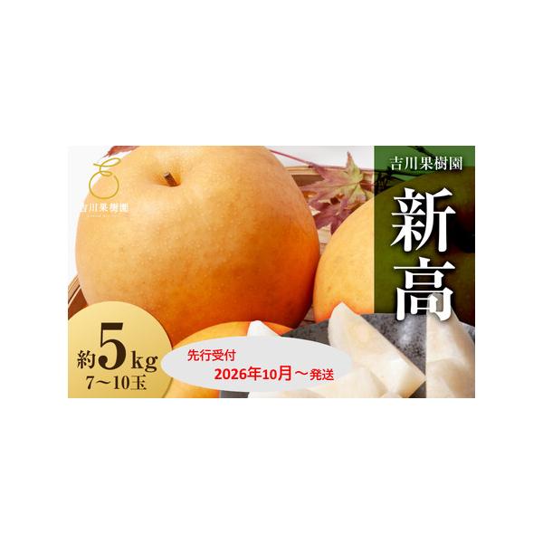 ■ 容量　新高 約5kg（目安として7〜10玉）　※玉数はあくまで目安です。梨の大きさにより変動することがございます。　【賞味期限】　出荷後7日程度　※暗冷所にて保管ください。　※高温になりやすい場合は野菜室への保管をおすすめいたします。■...