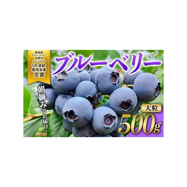 ■ 容量　群馬県特別栽培農産物 ハイブッシュ系ブルーベリー500g■ 配送について　2026年6月1日より順次発送　タイプ：【冷蔵】