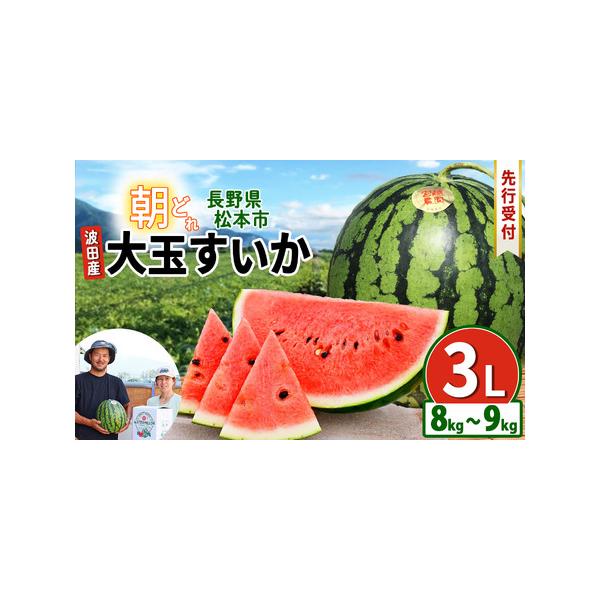 ■ 容量　３L（8kg〜9kg)　（条件数に達した場合は予告なく終了いたします）　タイプ：【常温】