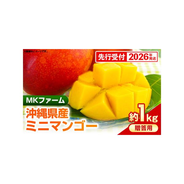 ■ 容量　MKファームの贈答用ミニマンゴー約1kg【贈答用】【10?22玉】　※玉数の指定はできません　※数に限りがございます。数量に達し次第終売となります。　　　アレルギー：ウルシ科■ 配送について　2026年6月中旬〜8月末頃を予定　タ...
