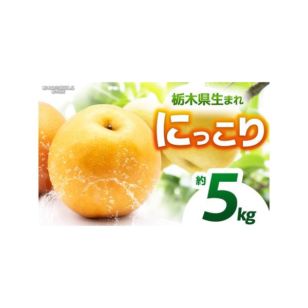 ■ 容量　約5kg(秀7玉)　上記よりお選びいただけます。■ 配送について　※こちらの返礼品は、北海道・東北・九州・沖縄・離島にはお届けできません。　※長期不在のご予定があれば事務局へご連絡ください。　尚、長期不在等によりお礼の品をお受取り...