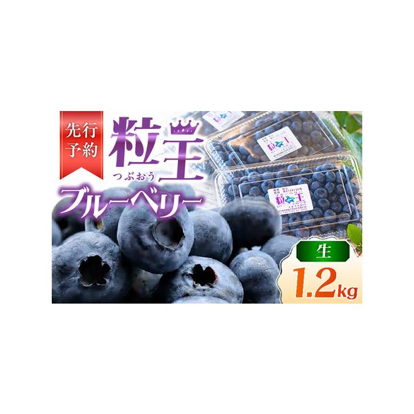 ■ 容量　粒王 生ブルーベリー 1.2kg（400g×3パック）　---------------------------------------------------　【賞味・消費期限】　＜賞味期限＞出荷から10日間　　　【保存方法】　冷...