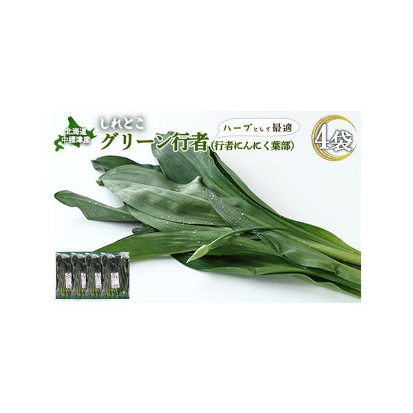 ■ 容量　北海道中標津産 しれとこ グリーン行者（行者にんにく葉部）4袋■ 配送について　入金確認後、準備ができ次第随時発送いたします。　タイプ：【冷凍】