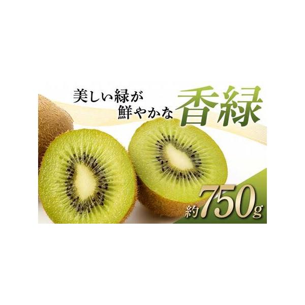 ■ 容量　香緑（キウイフルーツ） 750g（5〜6個）■ 配送について　※天候の影響による収穫時期や量が変動した場合は、発送が遅れる可能性があります。予めご了承くださいませ。　※配送不可エリア：北海道、沖縄県、離島　タイプ：【常温】