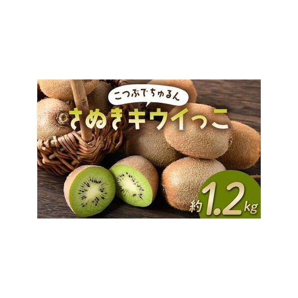 ■ 容量　さぬきキウイっこ 1.2kg■ 配送について　※天候の影響による収穫時期や量が変動した場合は、発送が遅れる可能性があります。予めご了承くださいませ。　※配送不可エリア：北海道、沖縄県、離島　タイプ：【常温】