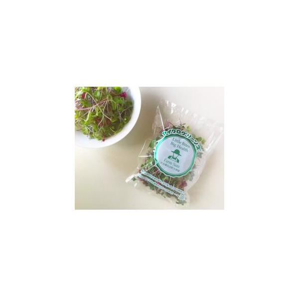 ■ 容量　※上記に記載■ 配送について　2026年2月より順次発送　タイプ：【冷蔵】