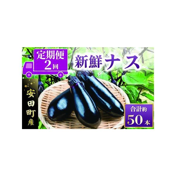 ■ 容量　1回目の発送は、20〜24本程度を2〜3本入りの袋で小分けにしてお届けします。　2回目の発送は、ナス20-24本、味噌、天日塩等の加工品(どれが届くかはお選びいただけません)■ 配送について　1回目の発送は、入金確認順に2025年...