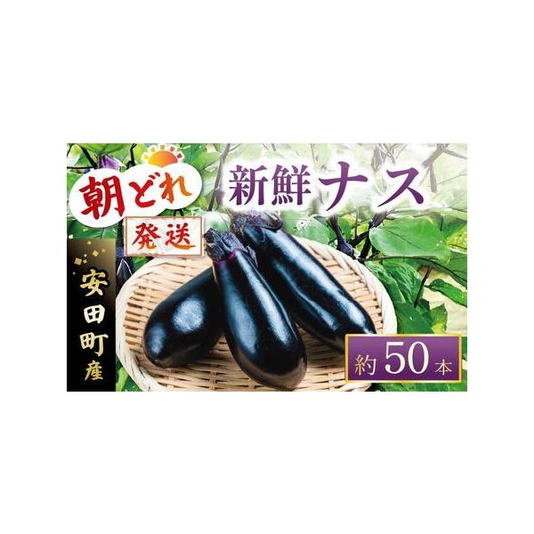 ■ 容量　2〜3本入りの袋で小分けにして、約50本程度お届けします。■ 配送について　※発送は、入金確認順に2025年10月下旬より順次お送りします。　※新鮮な茄子をお届けするため、ヘタの棘には十分お気を付けください。　※沖縄・離島への発送...