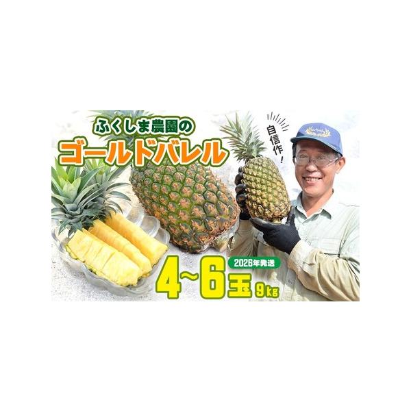 ■ 容量　ゴールドバレル【パインアップル】(4〜6玉）約9kg■ 配送について　2026年6月中旬頃から8月初旬に順次発送予定　※収穫状況により、発送時期が予告なく前後する場合がございます　申込期日：2026年7月20日まで　※但し、限定数...