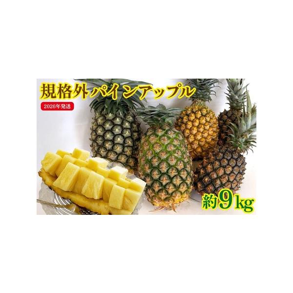 ■ 容量　規格外パインアップル　約9kg　※パインアップルの種類・数量やサイズはお選びいただけませんので、ご了承ください。■ 配送について　2026年6月中旬〜8月上旬に順次発送予定　※天候・収穫時期の変動・その他理由により予告なく前後する...