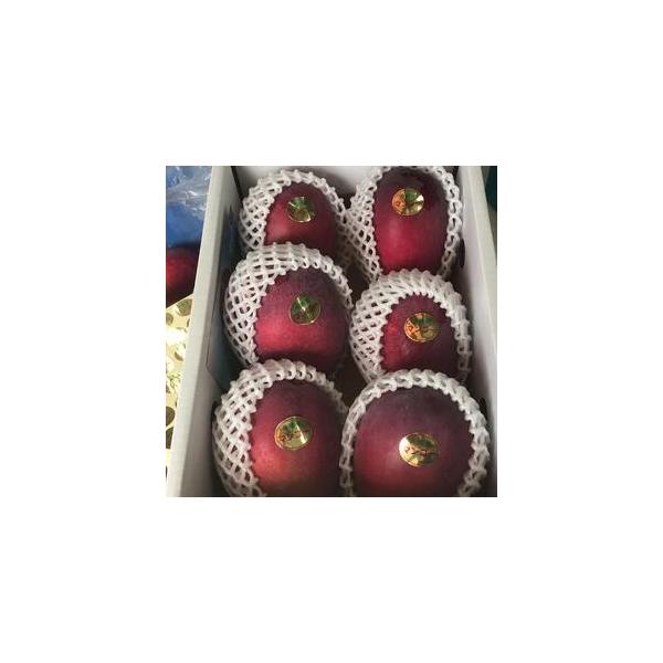 ■ 容量　マンゴー 1.5kg（4〜5個）■ 配送について　ご入金確認後、2026年7月中旬〜お届け予定　タイプ：【冷蔵】