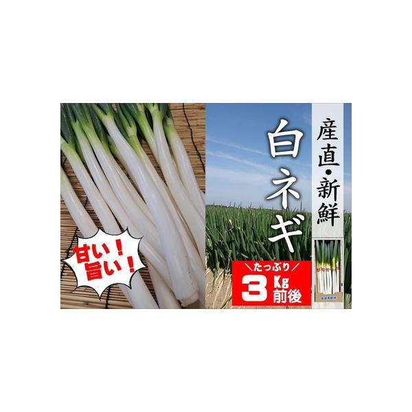 ■ 容量　白ネギ10束（1束あたり2~3本程度）3kg前後　※収穫時期により、白ネギ1本の重さが異なります。重さは目安ですので、あらかじめご了承ください。　賞味期限：冷蔵保存で15~20日　・生鮮食品ですのでお早めにお召し上がりください。　...