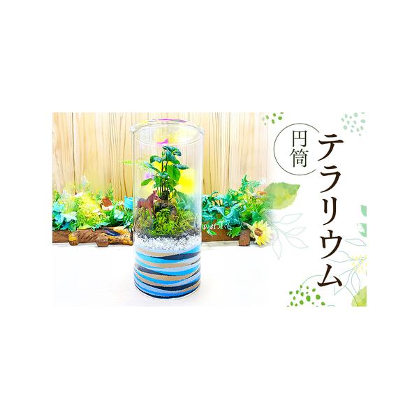 ■ 容量　苔テラリウム （植物とカラーサンドのアレンジ）　1点　原産地（稲美町栽培の苔を使用）                  　　タイプ：【冷蔵】