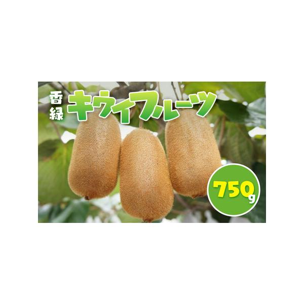 ■ 容量　香緑　キウイフルーツ750g　5〜6個　【賞味期限】　【保存方法】　直射日光を避け涼しいところで保存し、お早めにお召し上がりください。■ 配送について　12月中旬〜3月下旬の間順次発送予定（※配送指定不可）　タイプ：【常温】